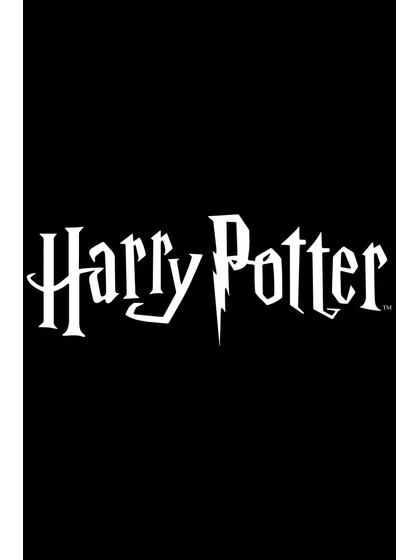 Harry Potter - Harry Potter Logo Black T-Shirt - Heromic
